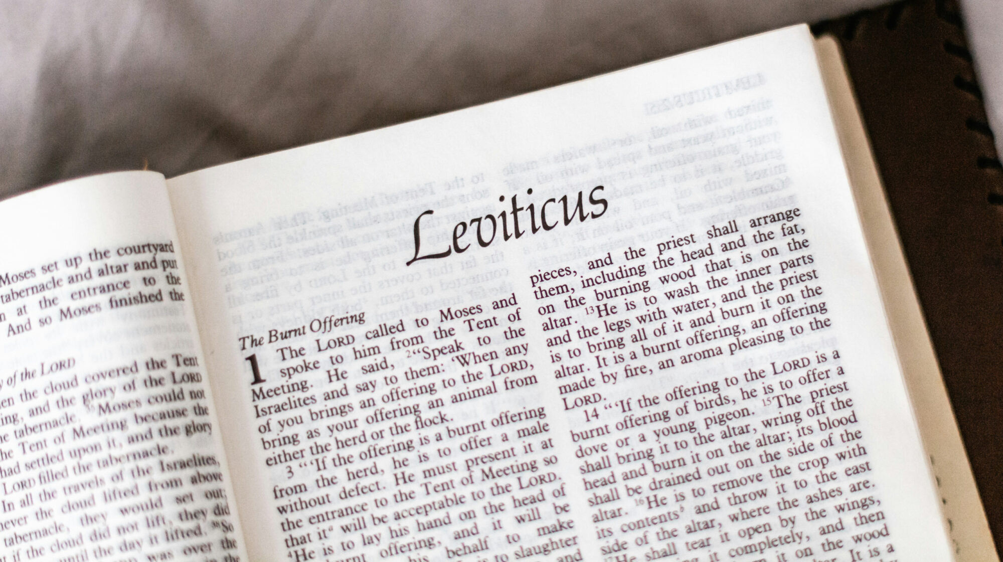 Commentary on Leviticus - TorahResource